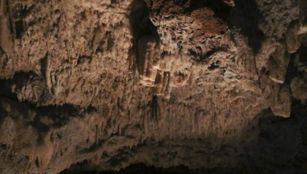 Cuevas de Taulabe, Honduras - Pateperro